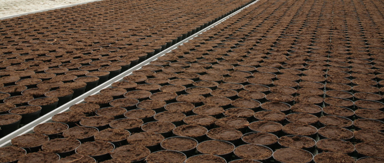 Coarse, medium or fine – different fraction substrates - Kekkilä ...