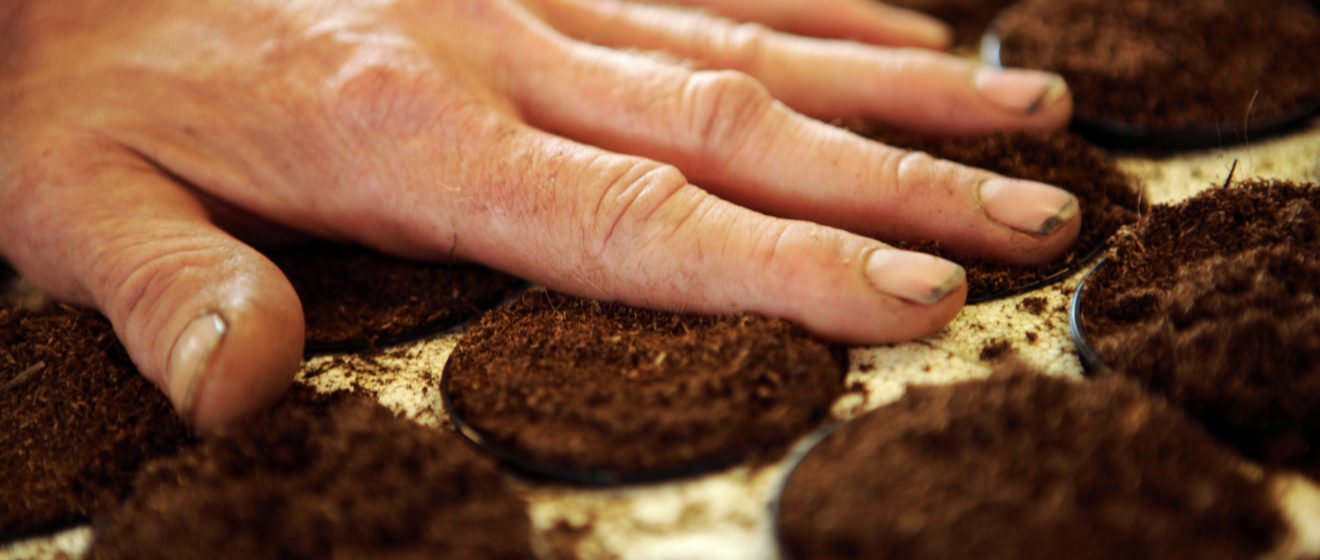 How to check moisture content within the substrate - Kekkilä Professional