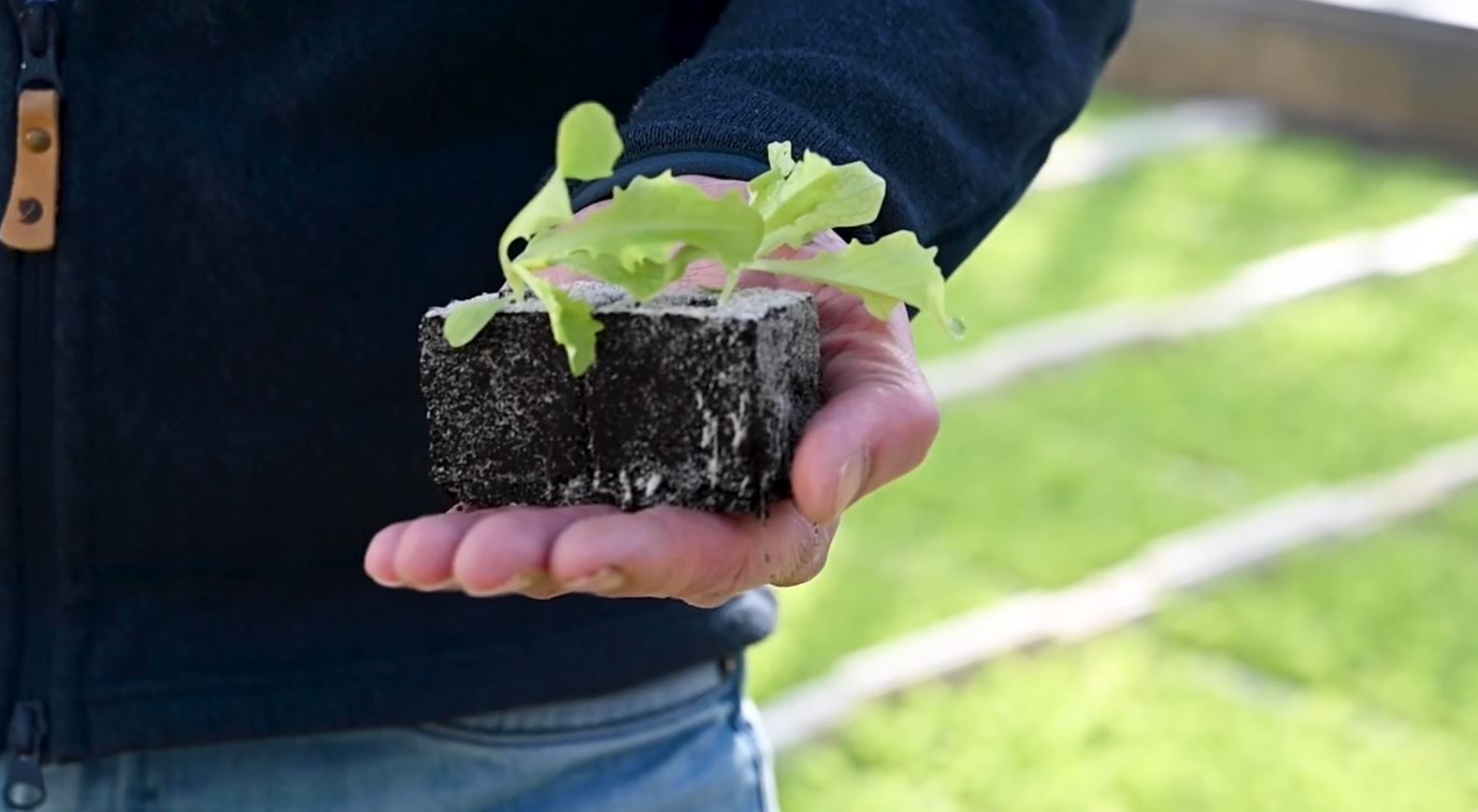 Kekkilä Professional Blocking Mixes - Kekkilä Professional